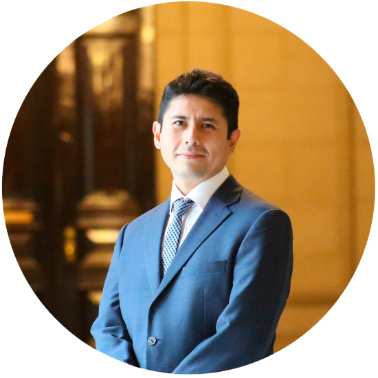 Mauricio Calani - Banco Central de Chile